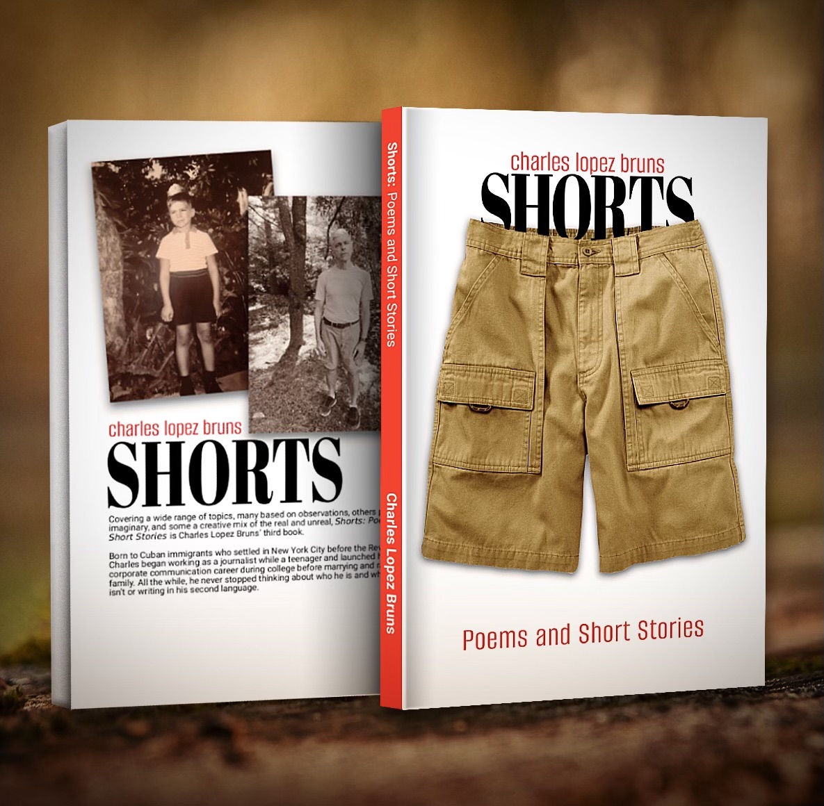 Google Gemini review of Shorts: Poems and Short Stories – Charles Lopez ...