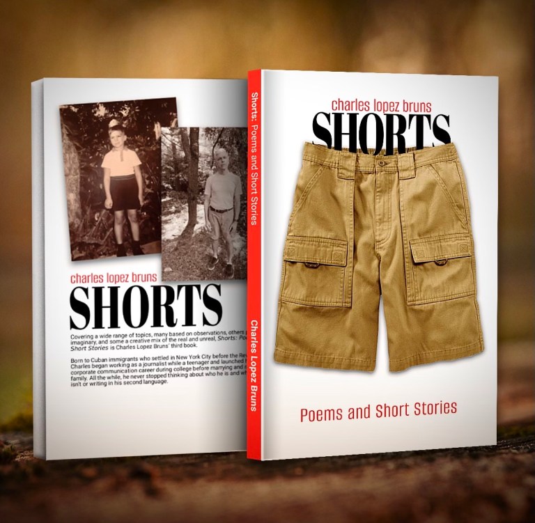 Google Gemini review of Shorts: Poems and Short Stories – Charles Lopez ...
